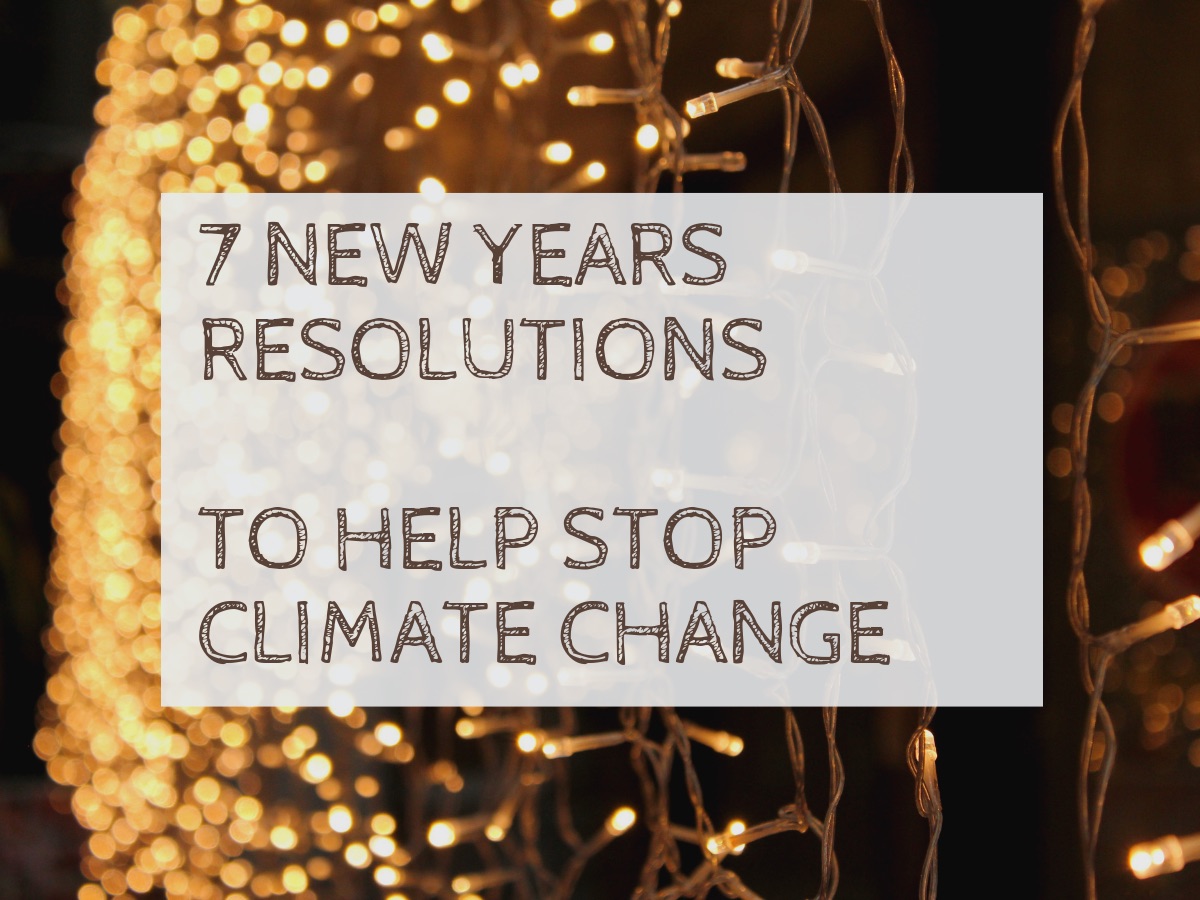 7 New Year's Resolutions Help Stop Climate Change - Artisan Electric, Inc.